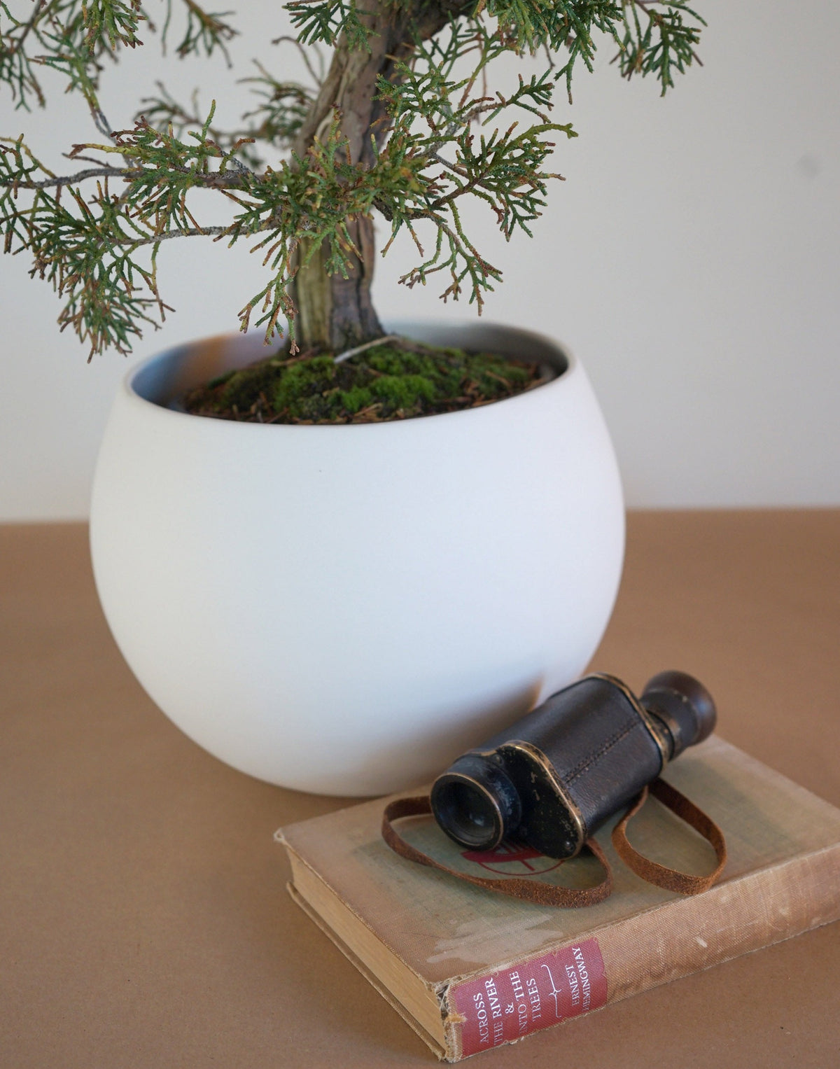 Grow Pot (set of 2)